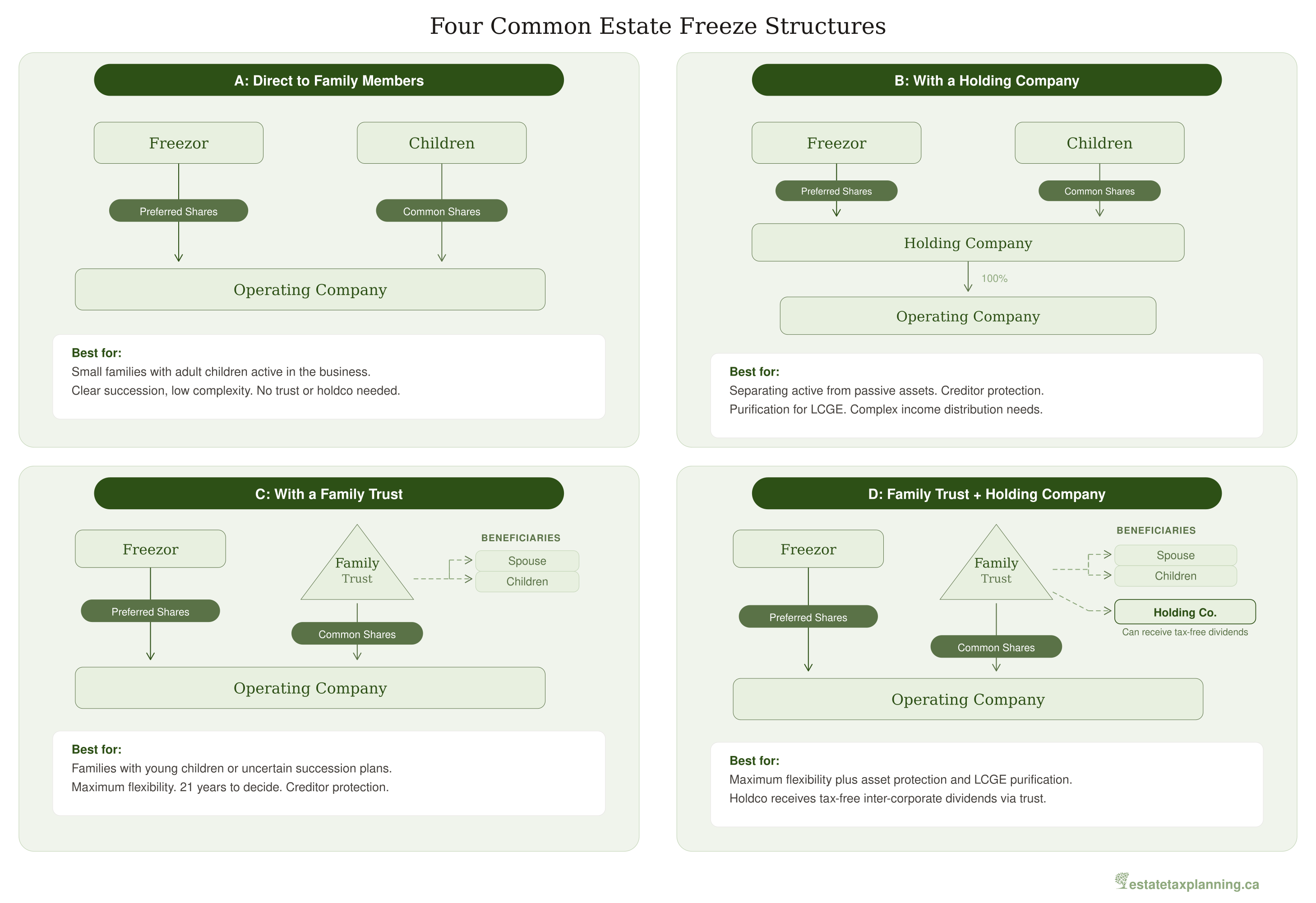 Estate Freeze Structures: Direct, Holdco, or Trust?