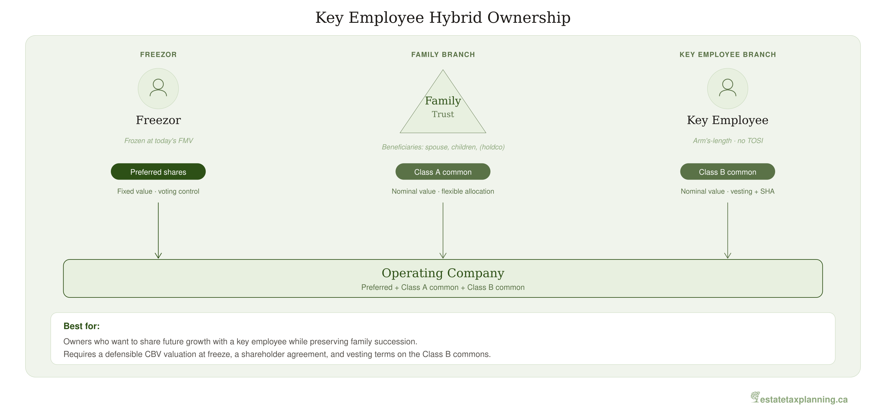 Estate Freeze Structures: Direct, Holdco, or Trust?